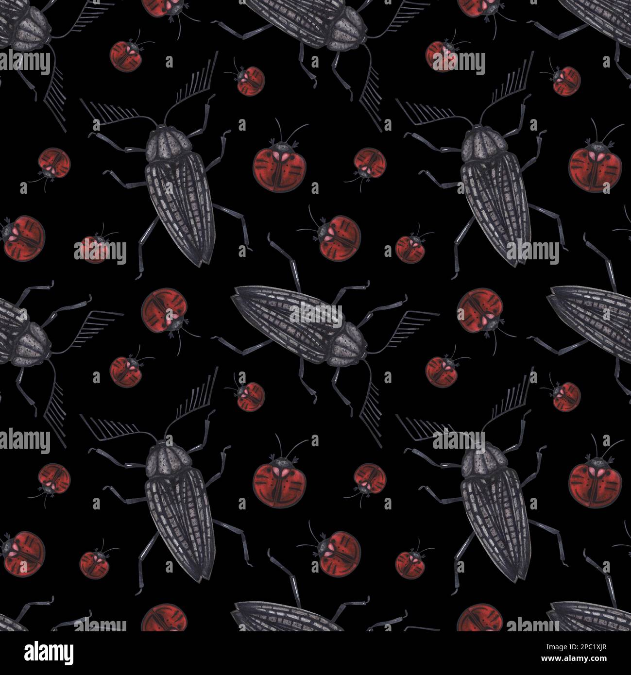 SSeamless pattern Realistic beetles insect isolated on black background ...