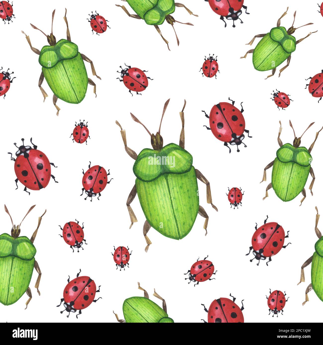 SSeamless pattern Realistic beetles insect isolated on white background ...