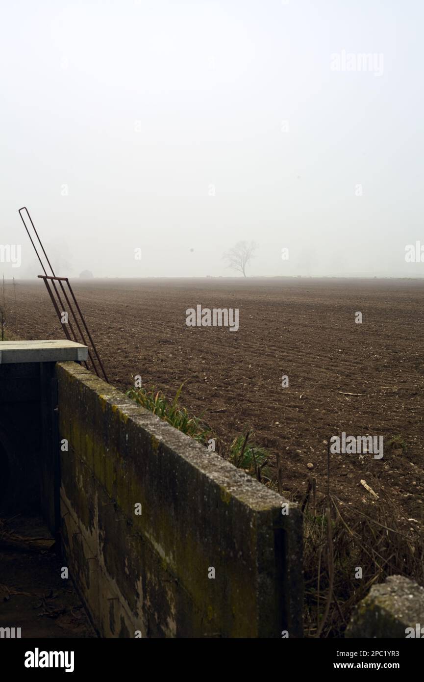 Dry irrigation channel and a stream of water between field on a foggy ...