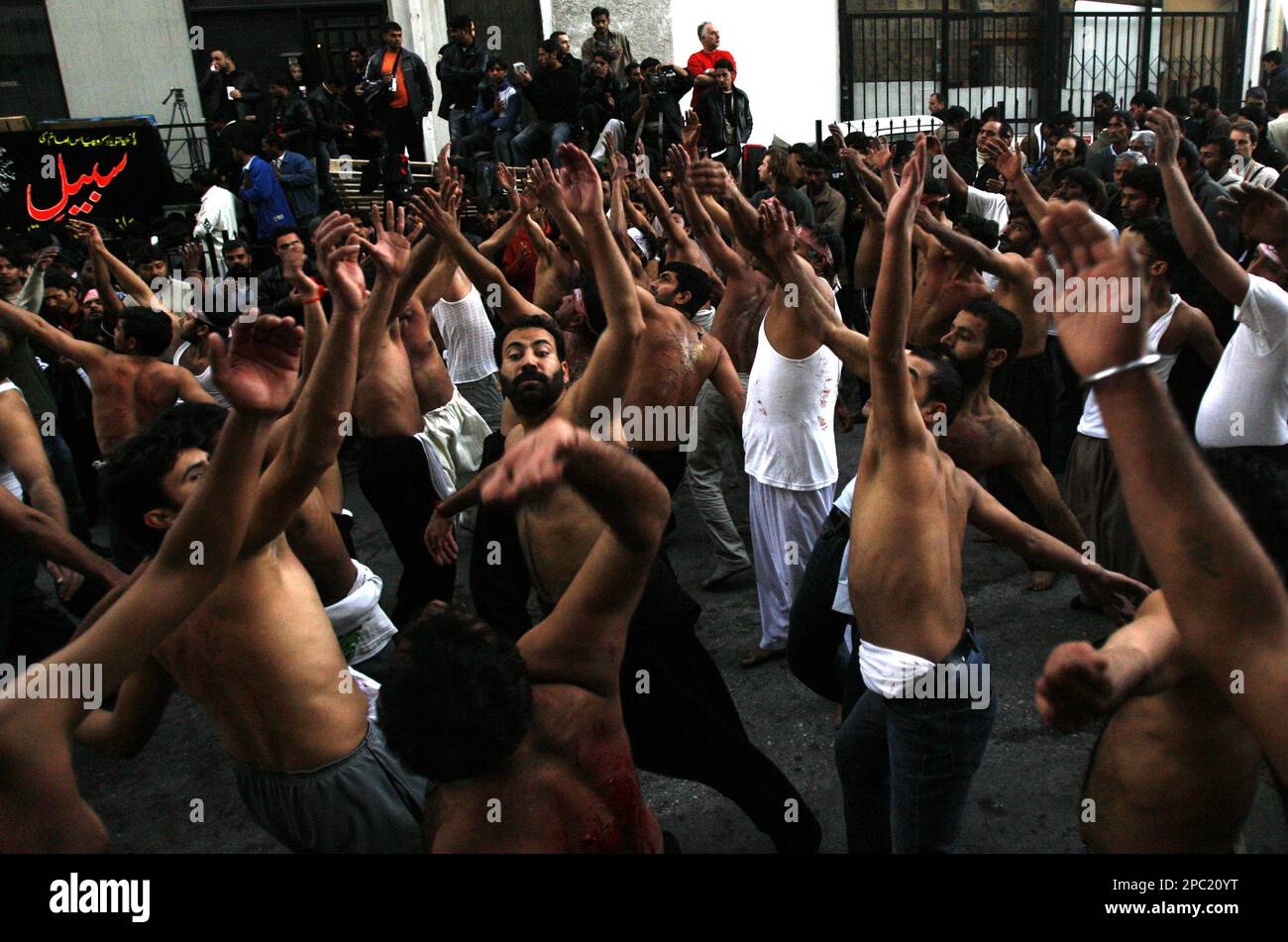 Shiite Muslim immigrants from Pakistan prepare to whip themselves with ...