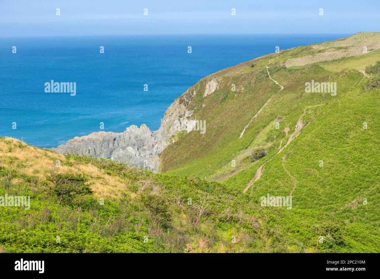 The Torrs, Ilfracombe, North Devon, UK Stock Photo - Alamy