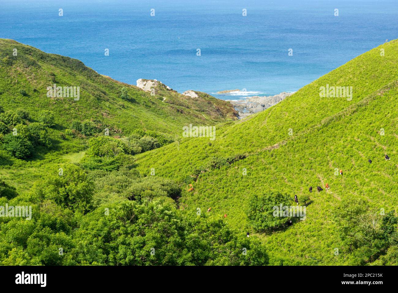 The Torrs, Ilfracombe, North Devon, UK Stock Photo - Alamy