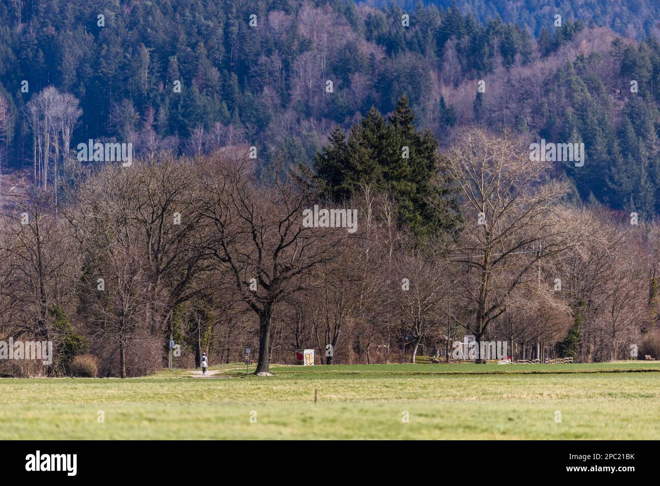 Kirchzarten, Germany. 13th Mar, 2023. A walker goes through the ...