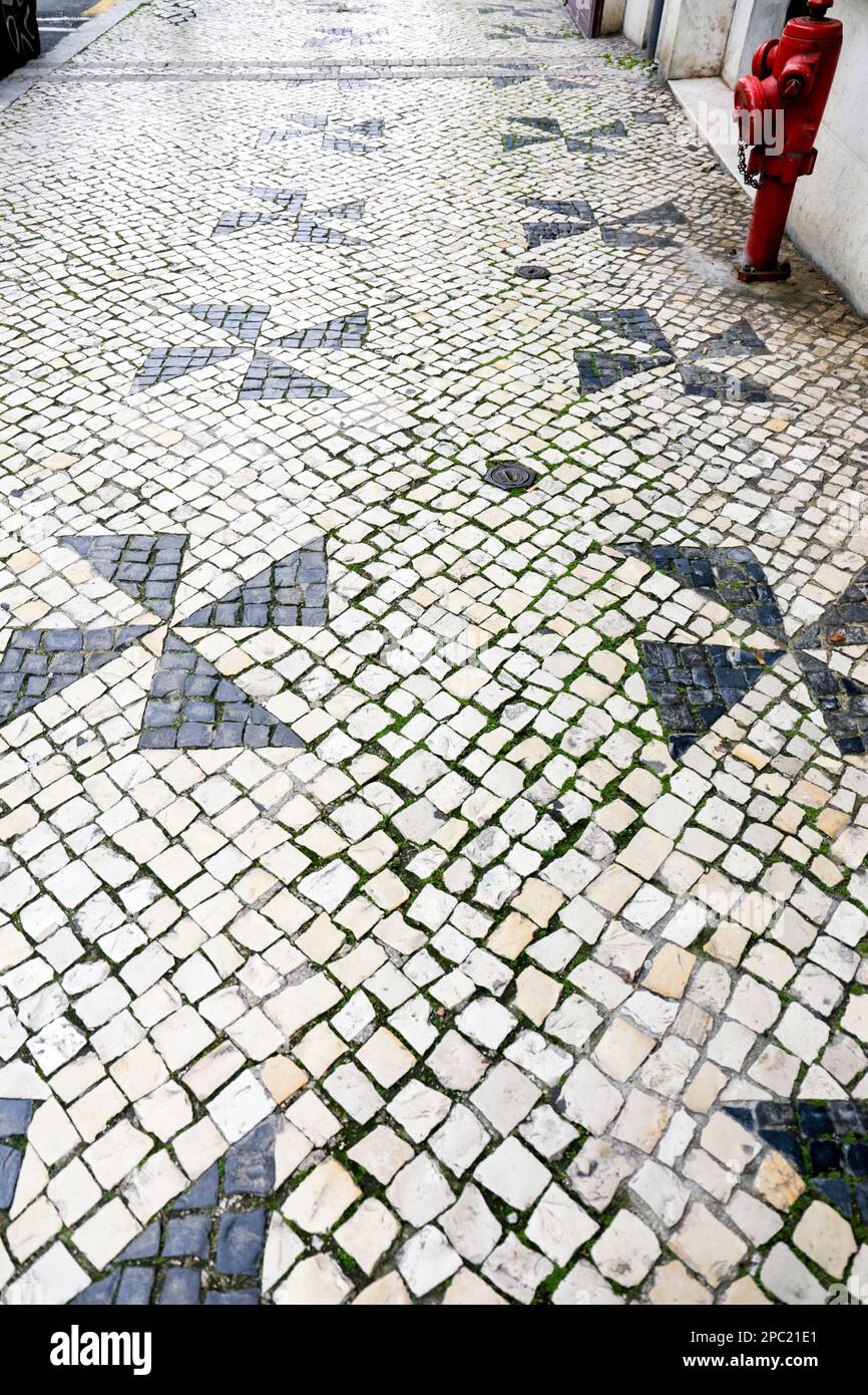 Beautiful Cobblestone pavement forming blades in Lisbon, Portugal Stock ...
