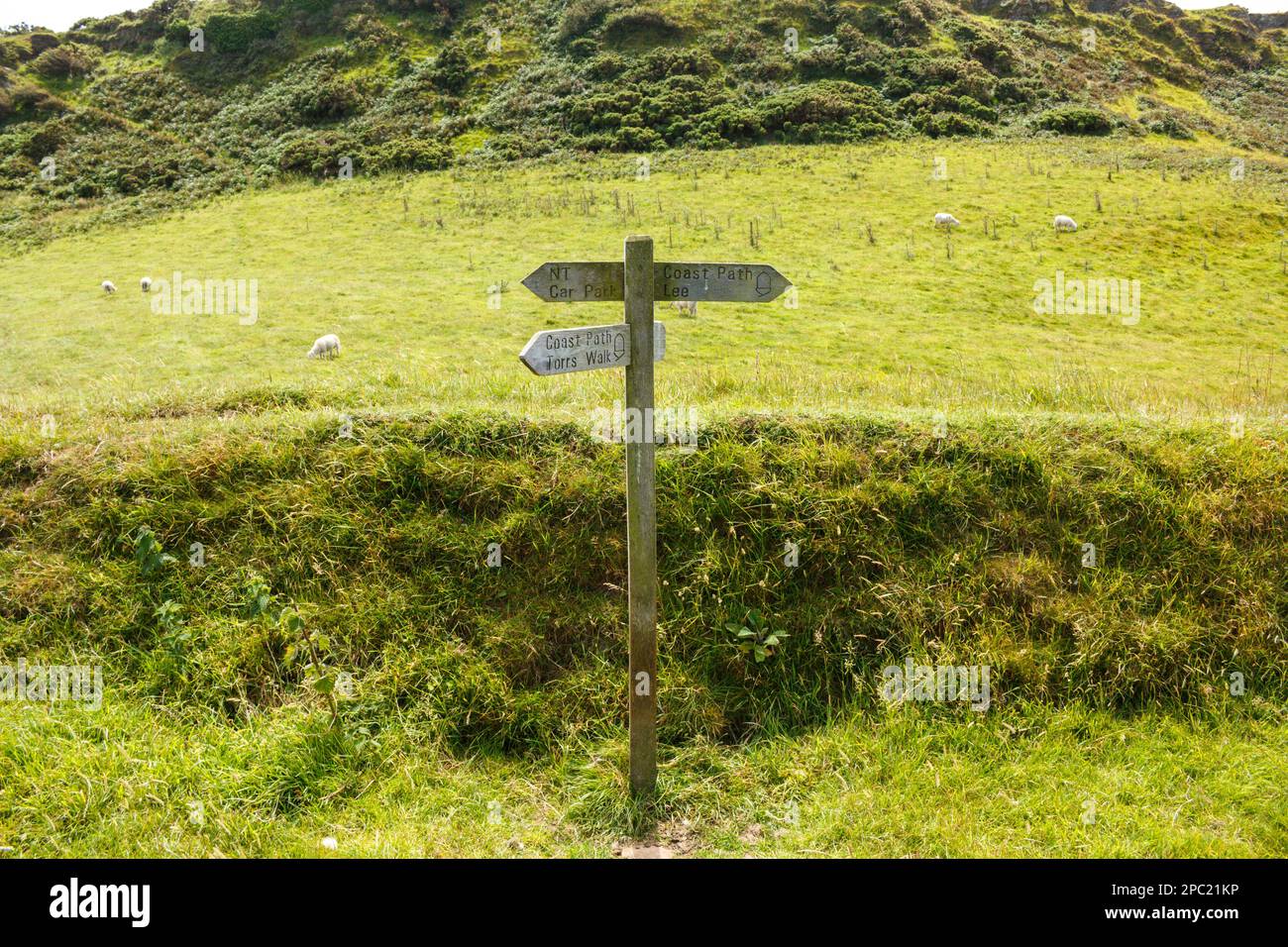 The Tors, Ilfracombe, North Devon, UK Stock Photo - Alamy