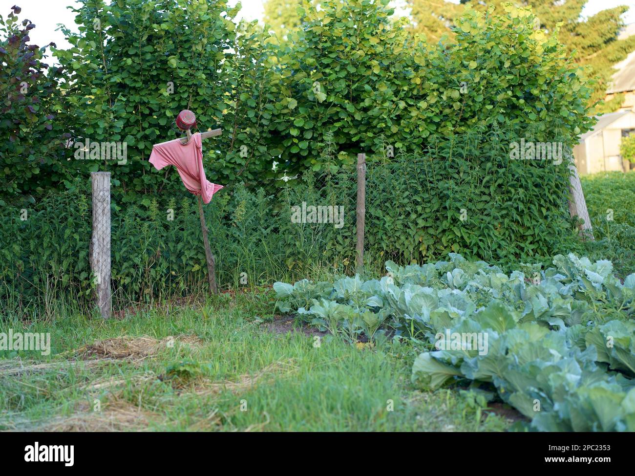 Scares away most birds hi-res stock photography and images - Alamy