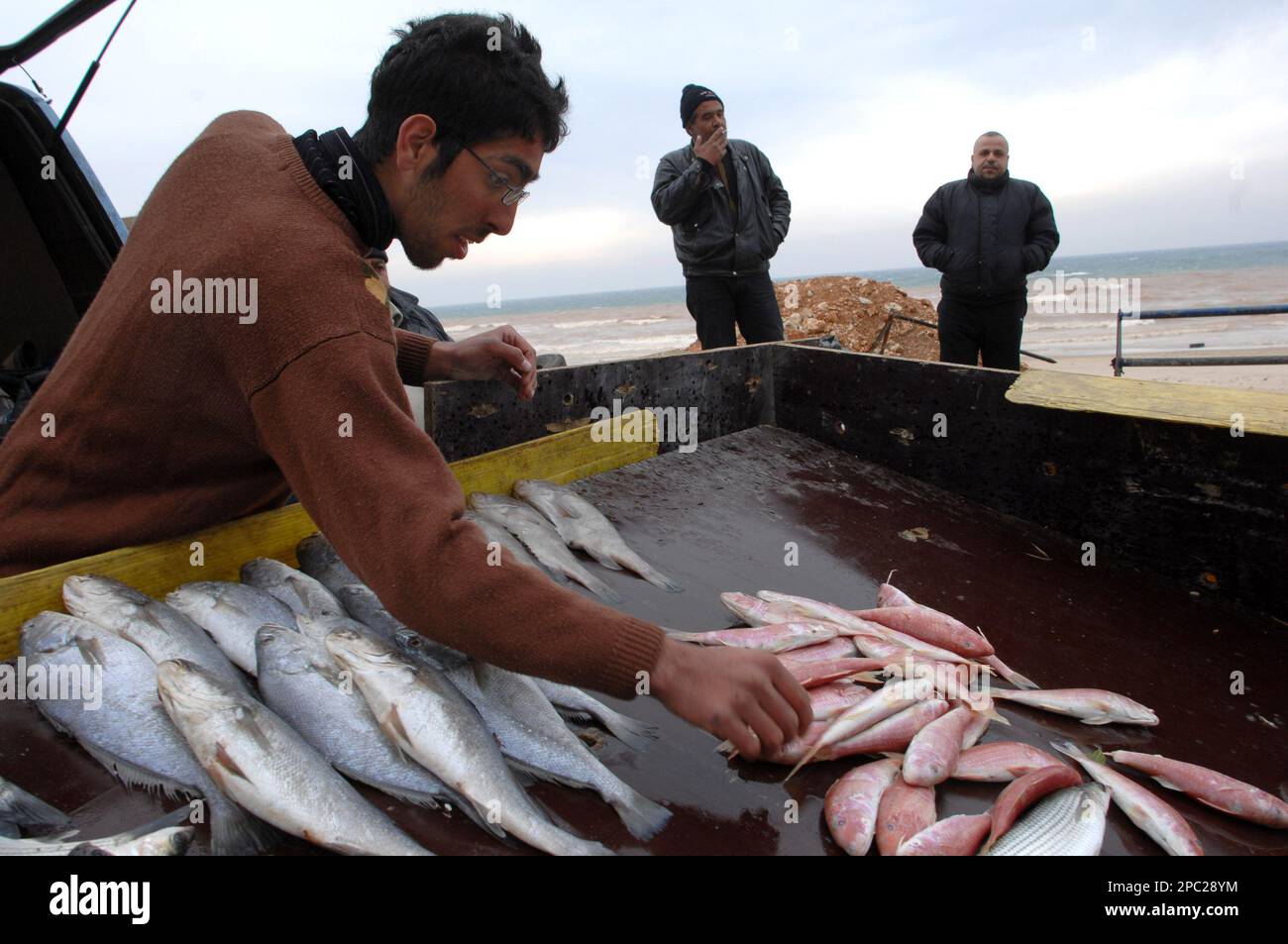 A Lebanese merchant sells fresh fish on the beach of Beirut, Lebanon ...