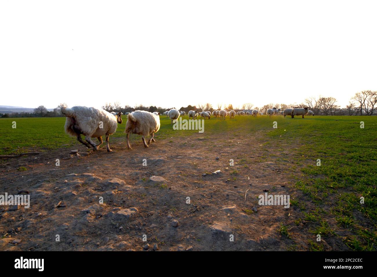 Catch up running hi-res stock photography and images - Alamy