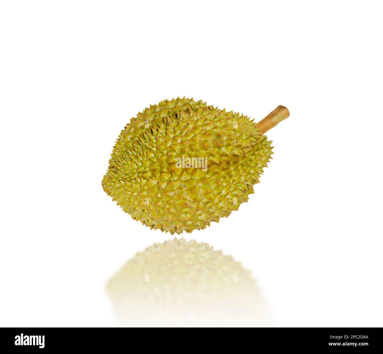 A ripe durian with spikes on white background, object isolated with ...