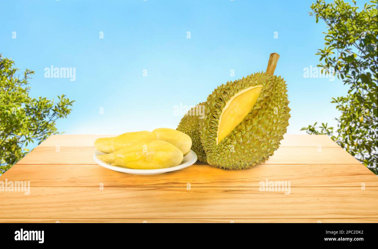 Ripe durian peeled showing ripe yellow flesh and ripe durian seeds on ...