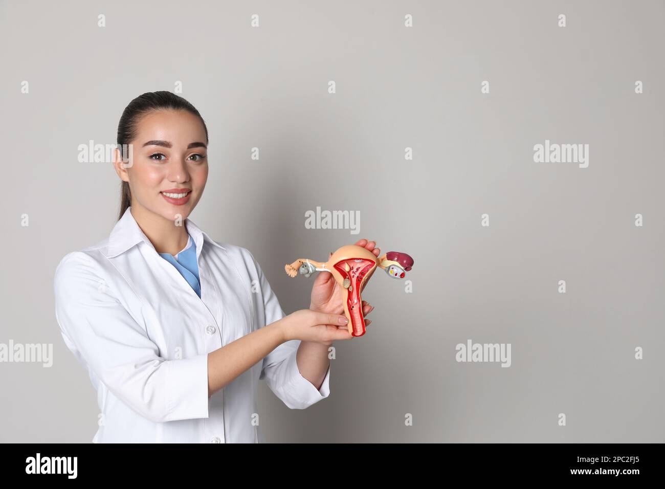 Doctor demonstrating model of female reproductive system on light grey ...