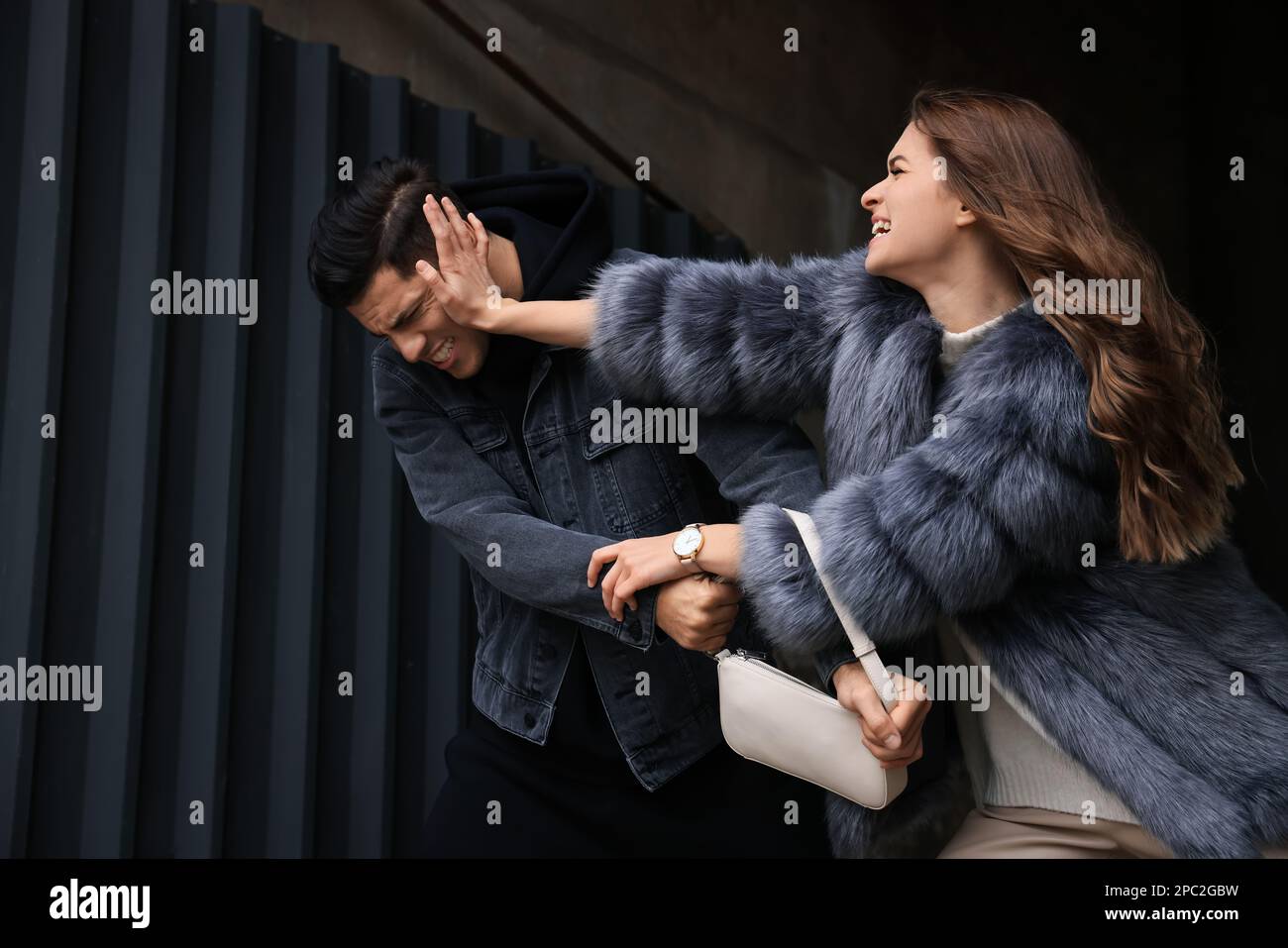 Woman Fighting With Thief While He Trying To Steal Her Bag In Alley