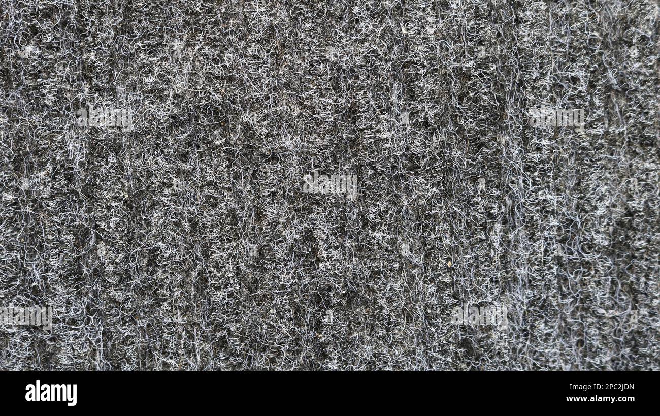 one-color gray texture carpet with a coarse fleecy surface full frame ...