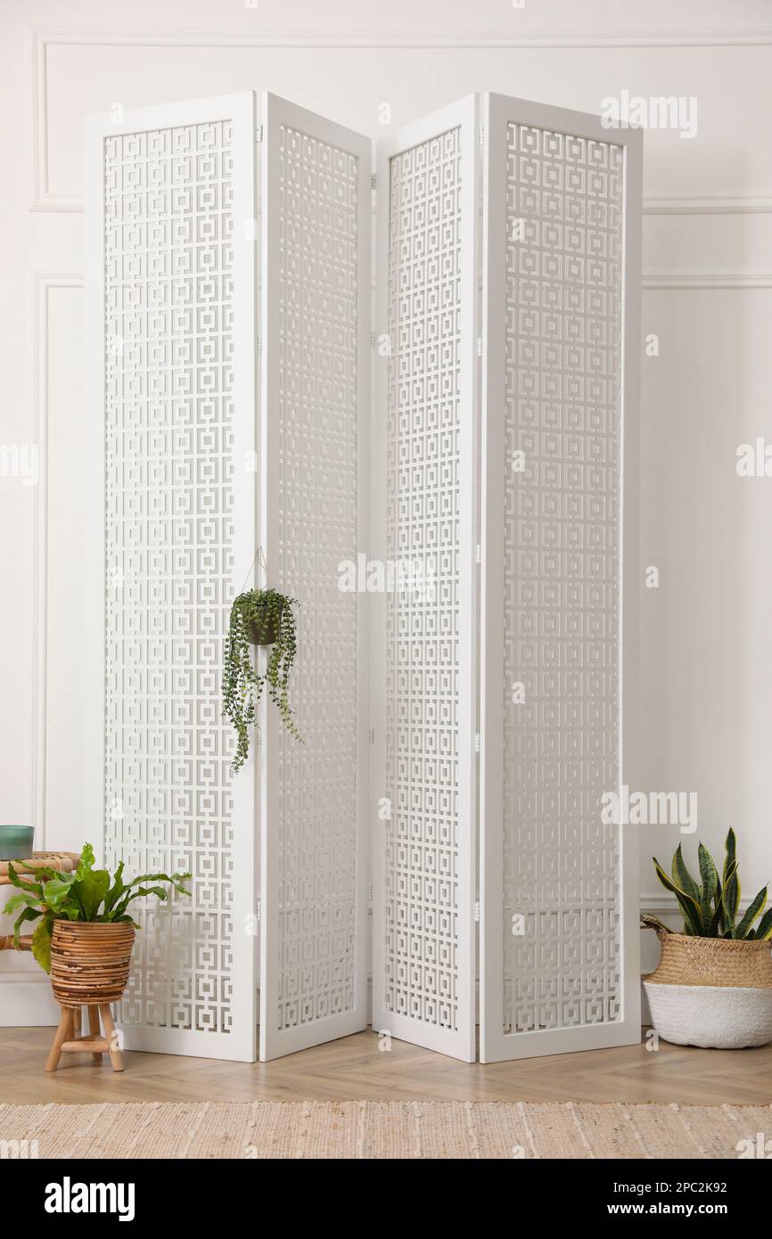Folding screen and beautiful houseplants near white wall in room ...