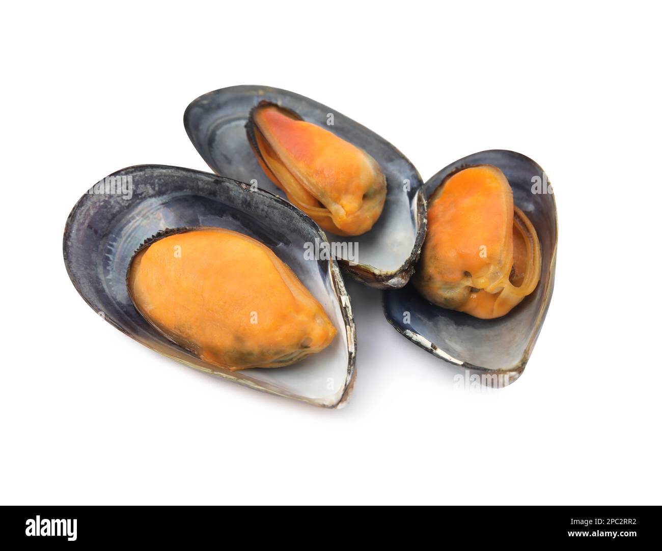 Delicious cooked mussels in shells on white background Stock Photo - Alamy