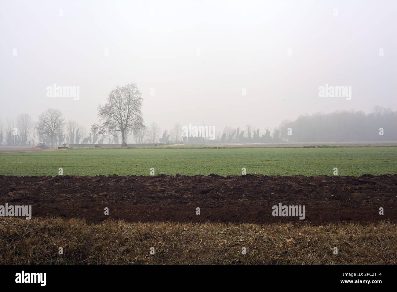 Cultivated field on a foggy day in winter with trees in the distance ...