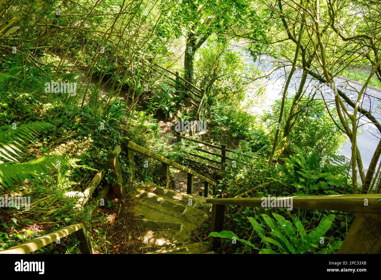 Steps leading to the top hi-res stock photography and images - Alamy