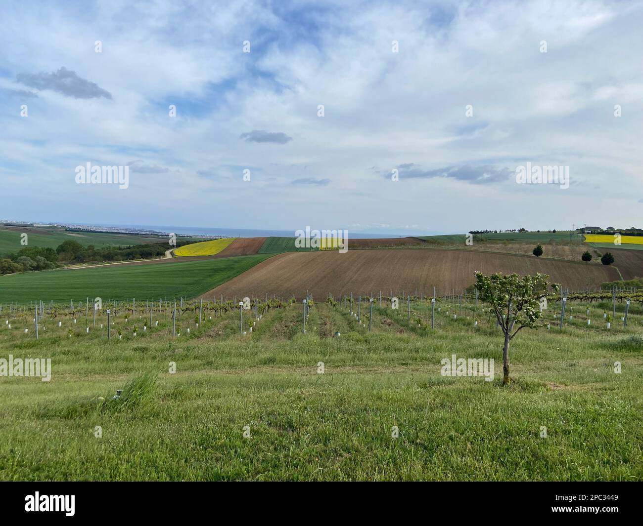 Springtime rural endless landscape in the wolds with agriculture fields ...