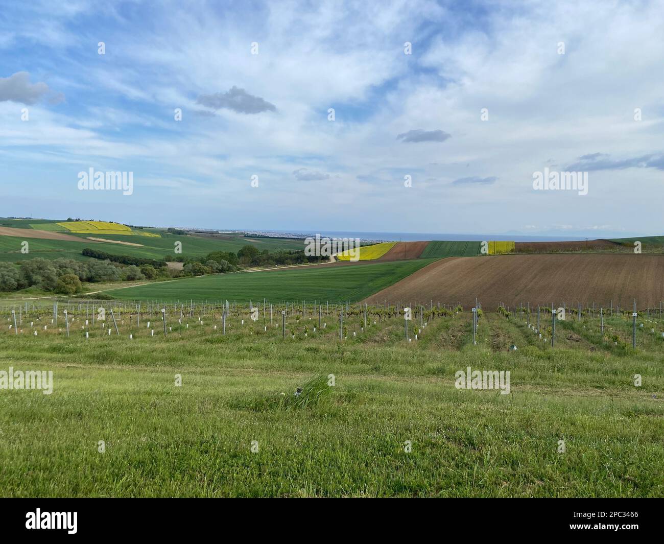 Sustainability environment hi-res stock photography and images - Alamy