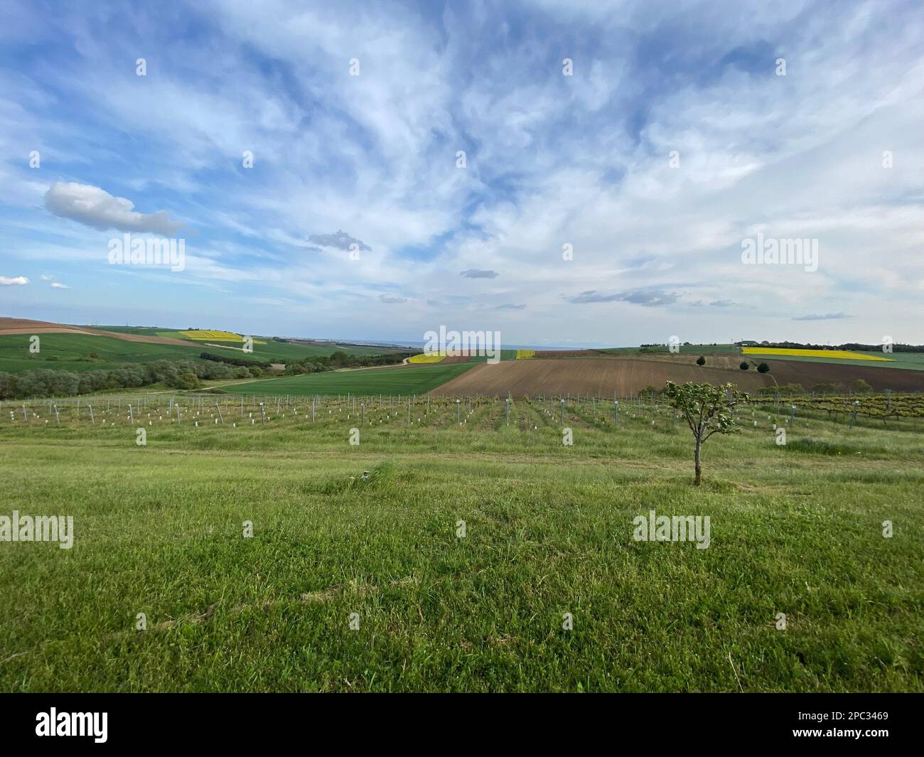 Springtime rural endless landscape in the wolds with agriculture fields ...