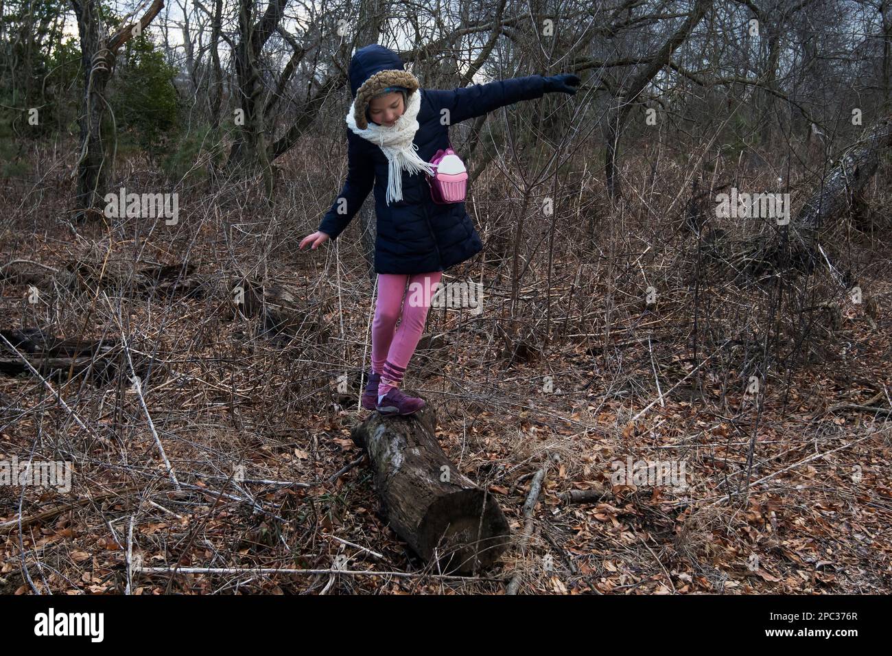 Log balancing hi-res stock photography and images - Alamy