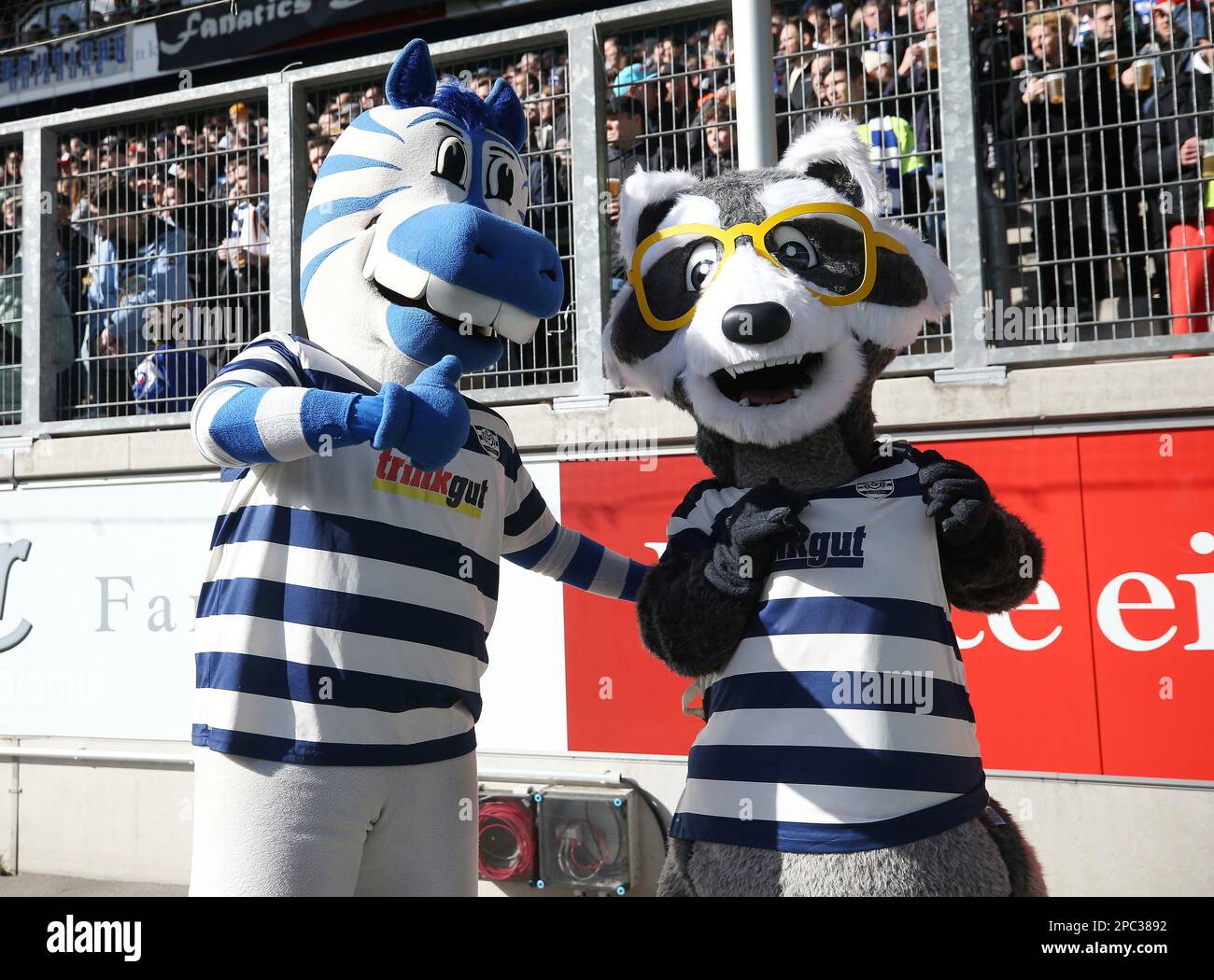 Duisburg, Deutschland. 11th Mar, 2023. firo : 03/11/2023, Football ...