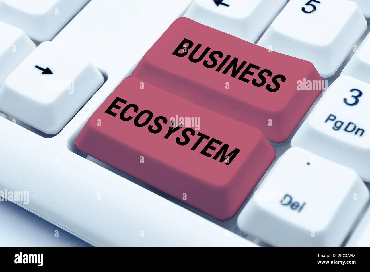 Text caption presenting Business Ecosystem. Business concept Develop ... Text caption presenting Business Ecosystem. Business concept Develop ...