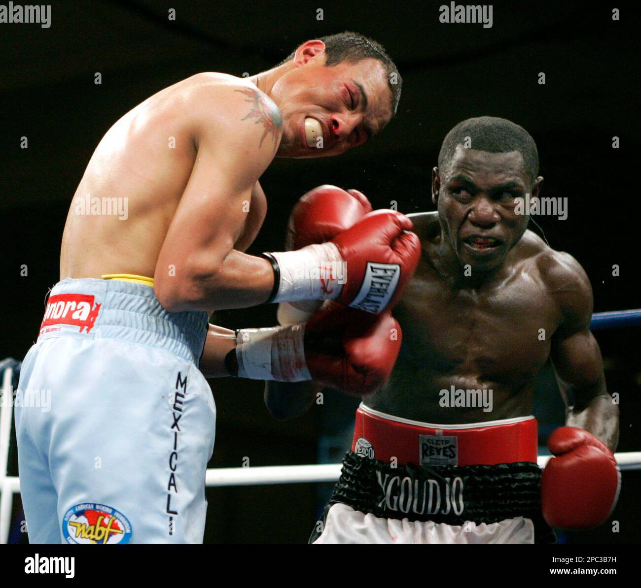 Jose Luis Castillo, left, of Mexico, takes a right from Herman Ngoudjo ...