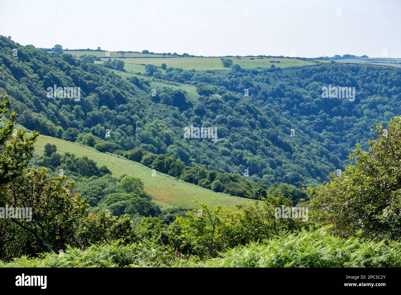 Countryside above Lynton, North Devon, UK Stock Photo - Alamy