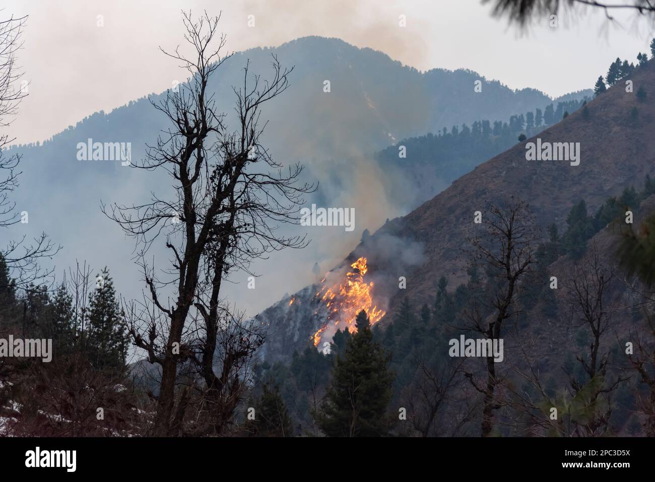 A mountain is seen engulfed in fire at Bubjen in the mountains of ...