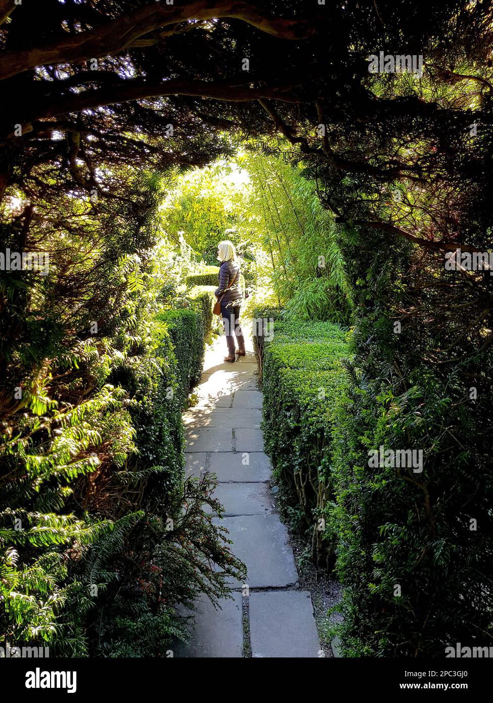 Yew hedge with arch hi-res stock photography and images - Alamy