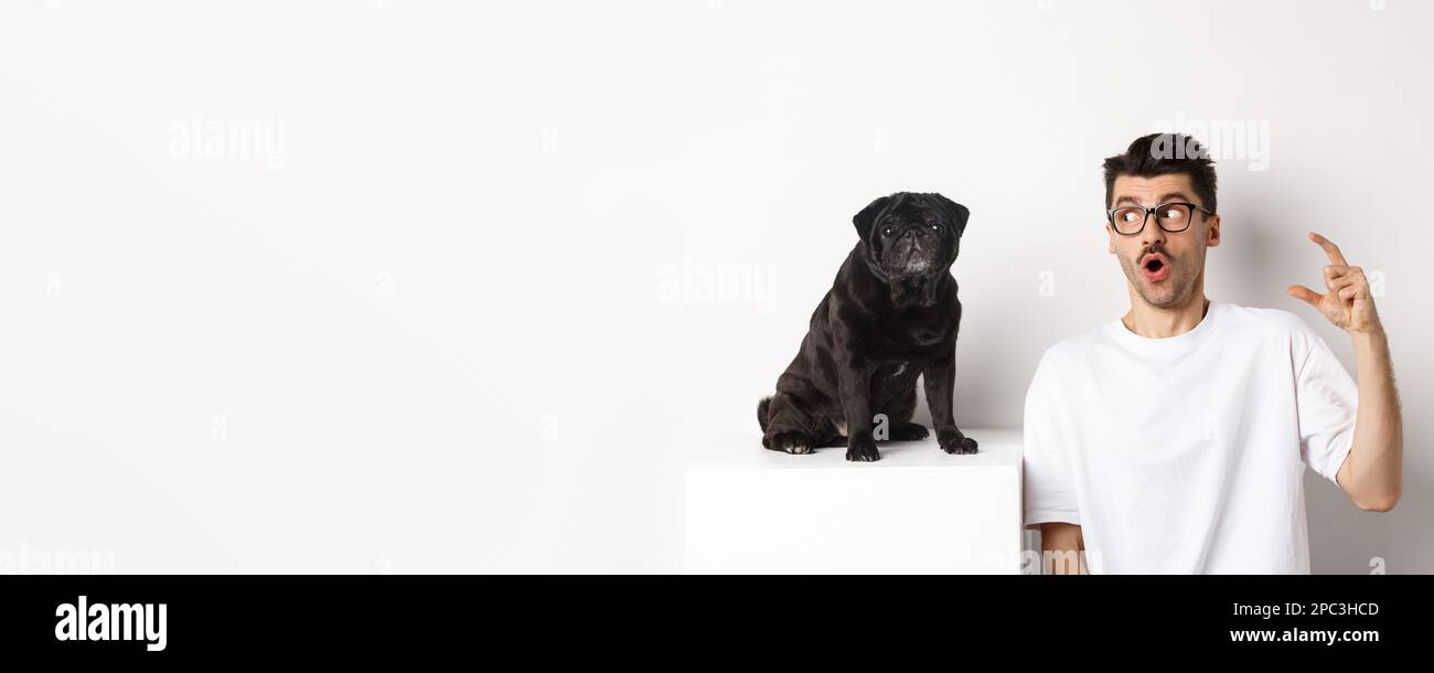 Happy male dog owner sitting near cute black pug, looking at pet with ...