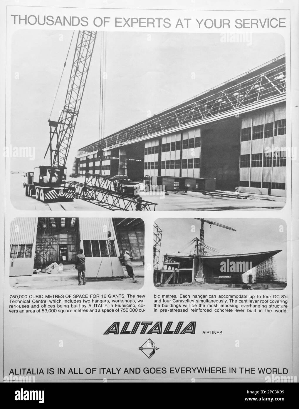 Life cut out Black and White Stock Photos & Images - Alamy