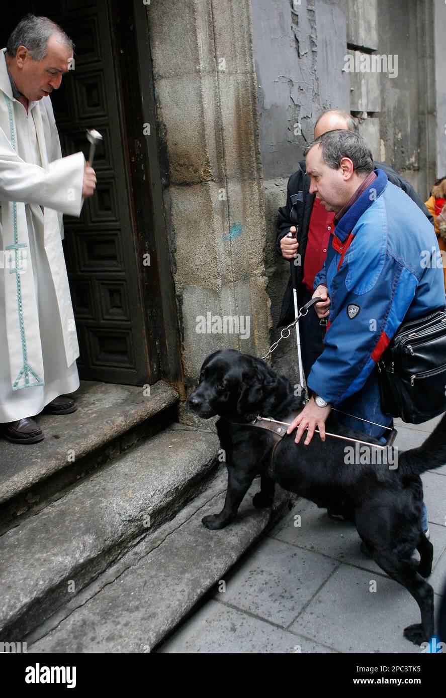 Father Juan Manuel Villar blesses a guide dog during the feast of San ...
