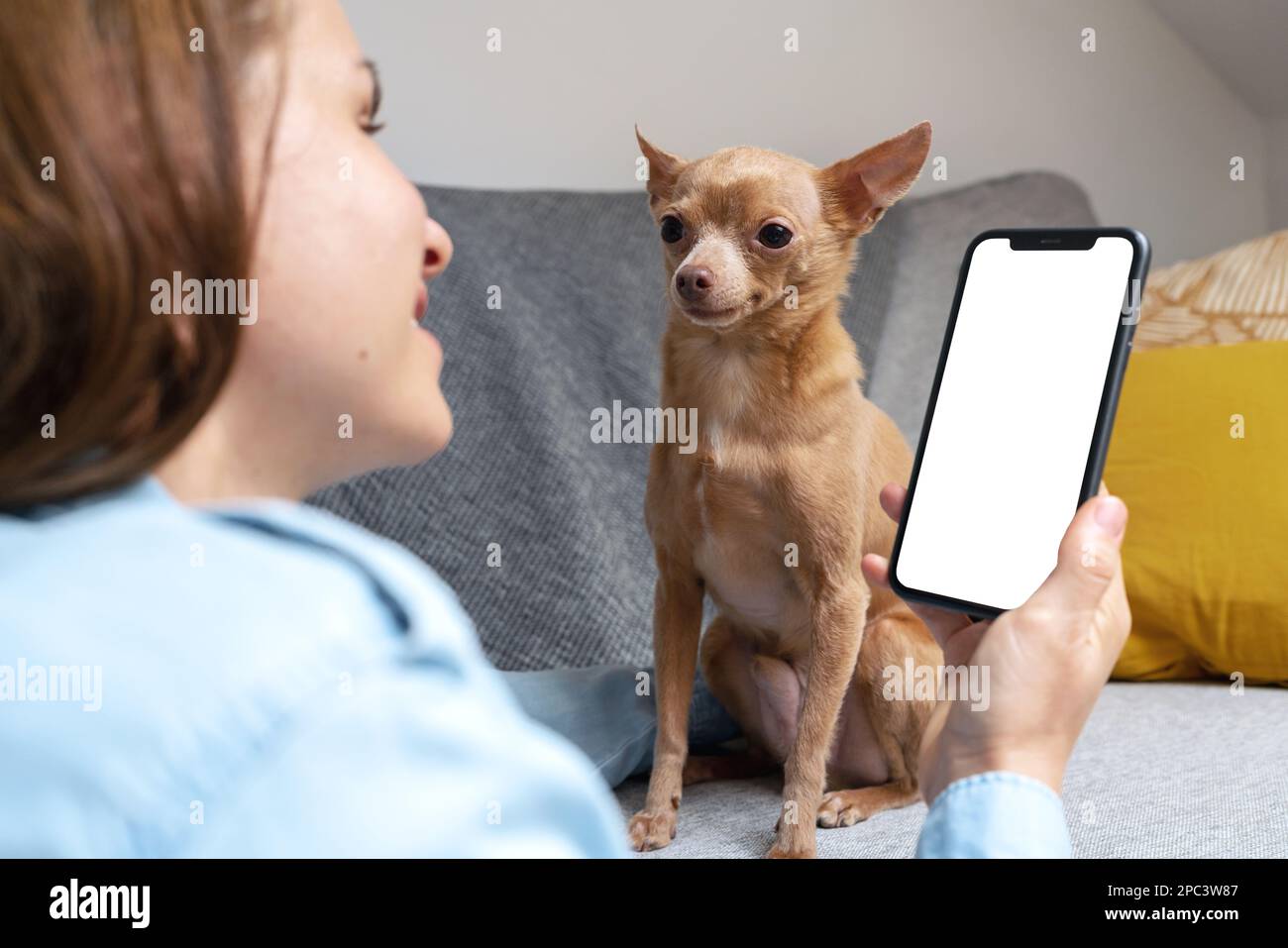 Mobile veterinary hi-res stock photography and images - Alamy
