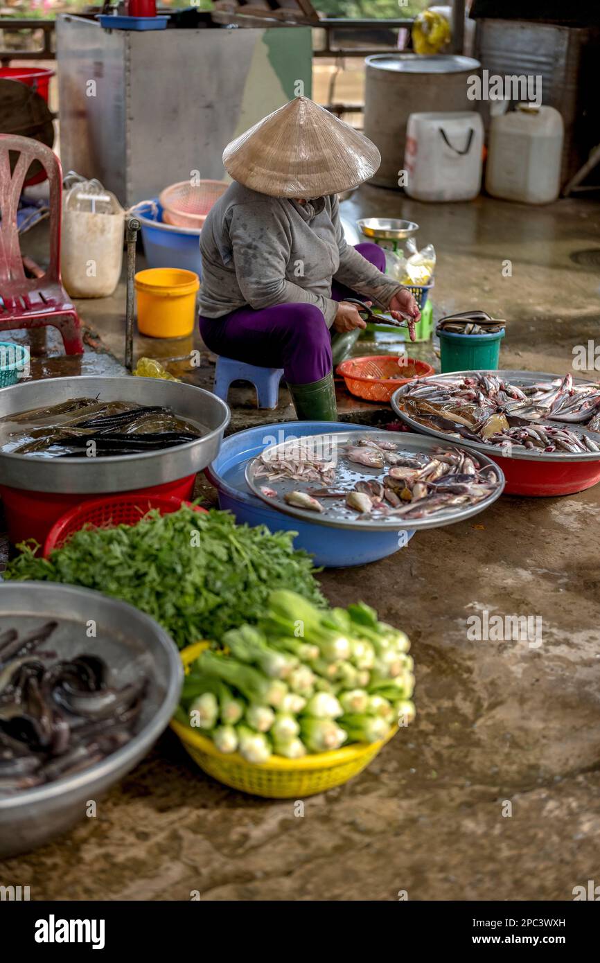 Local Market, Sa Dec, Vietnam Stock Photo - Alamy