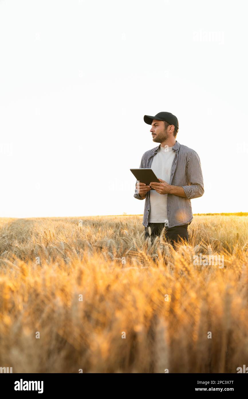 Farmer with digital tablet on an agricultural field. Smart farming and ...
