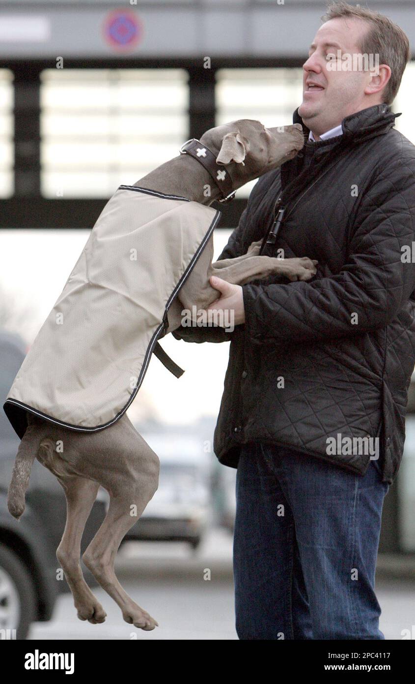 The Weimeraner dog Cleo wears dog clothing with the outlast technology ...