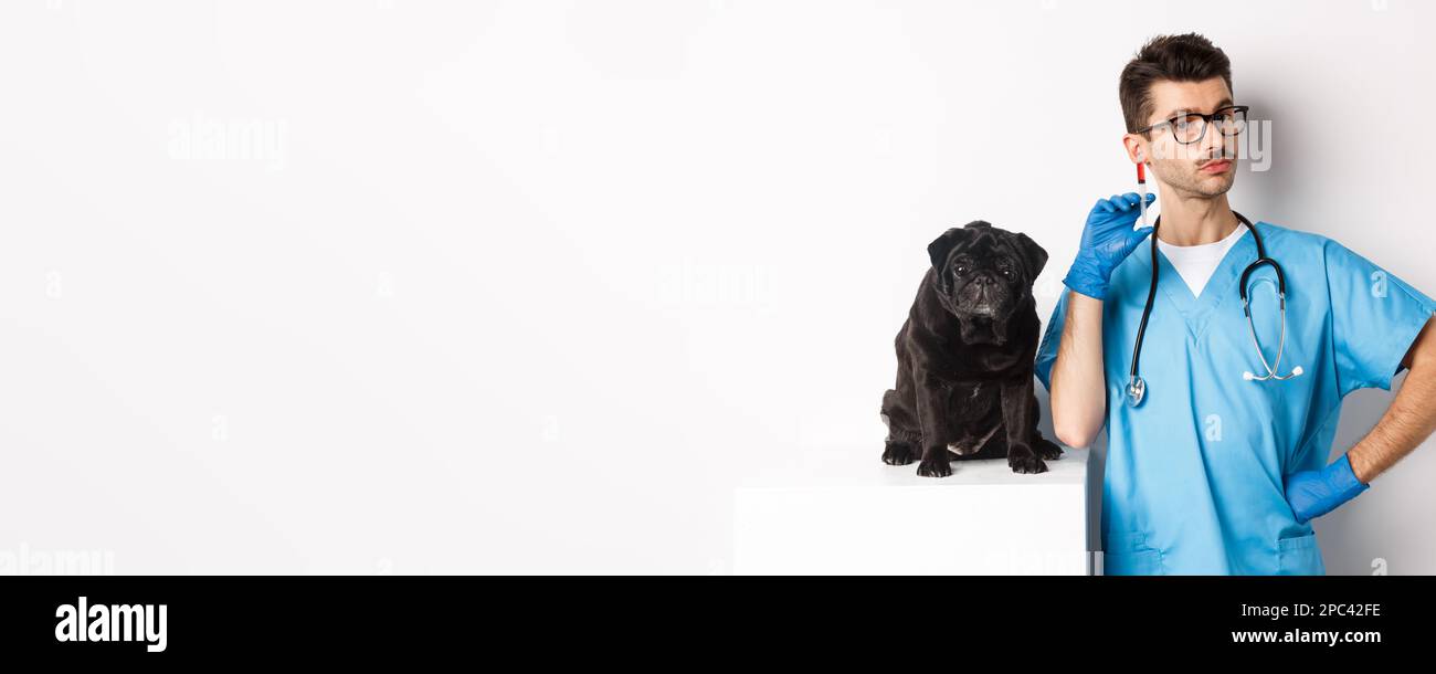 Handsome doctor veterinarian holding syringe and standing near cute ...