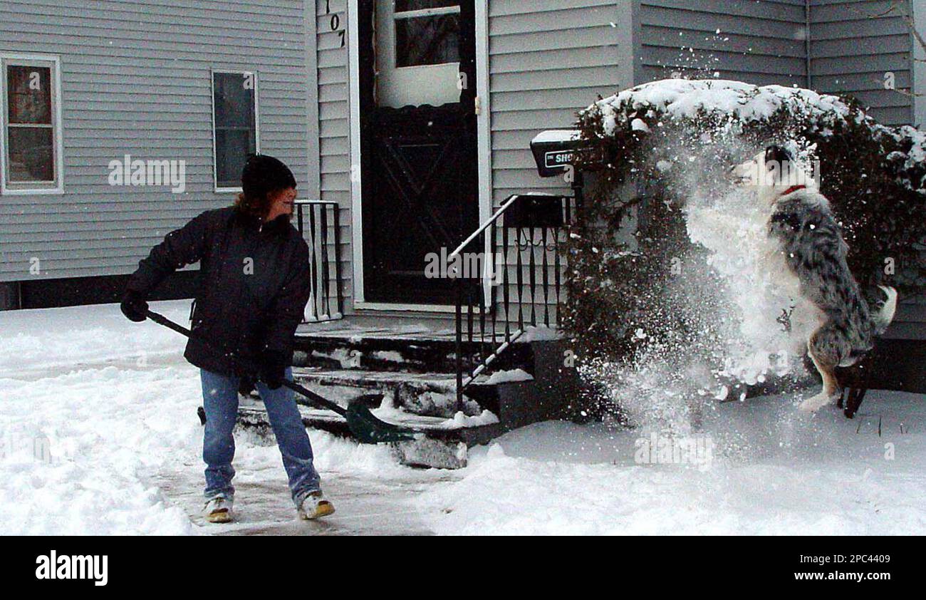 Lori Matczak tosses snow to her dog Zepplin, a 7-month-old border ...