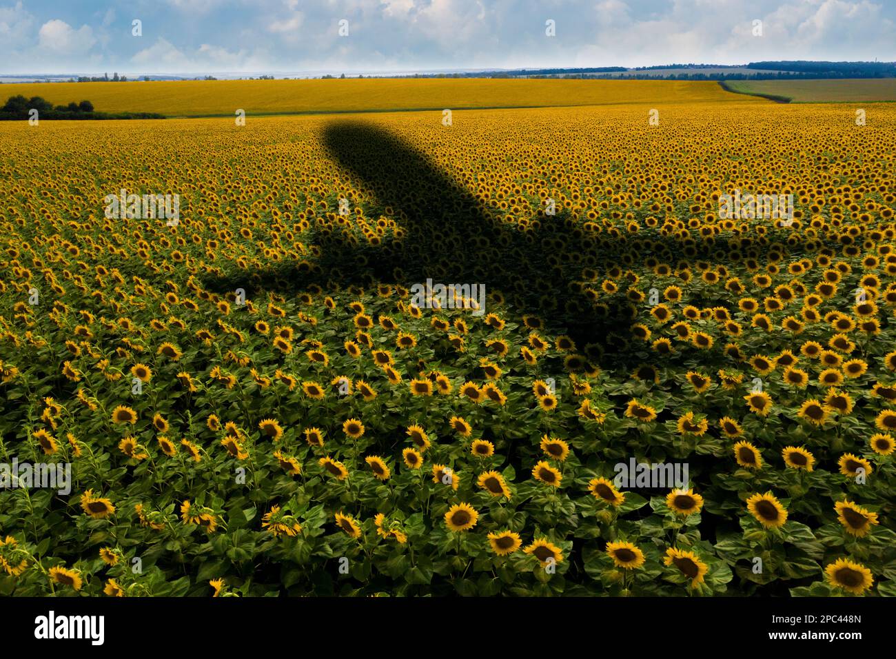 Shadow of the plane on the agricultural field. Concept of ...