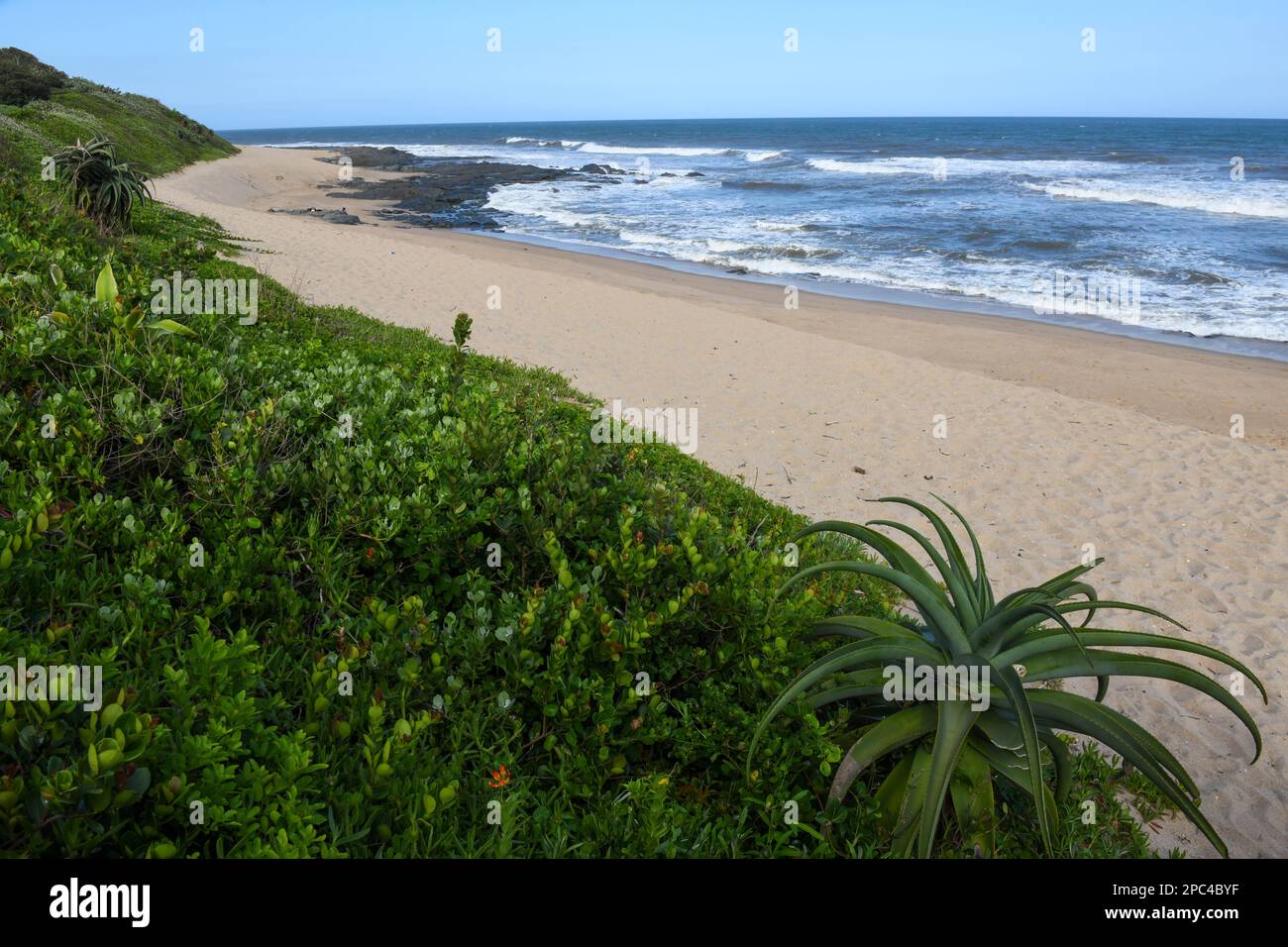 Drone view at Shelly beach on South Africa Stock Photo - Alamy