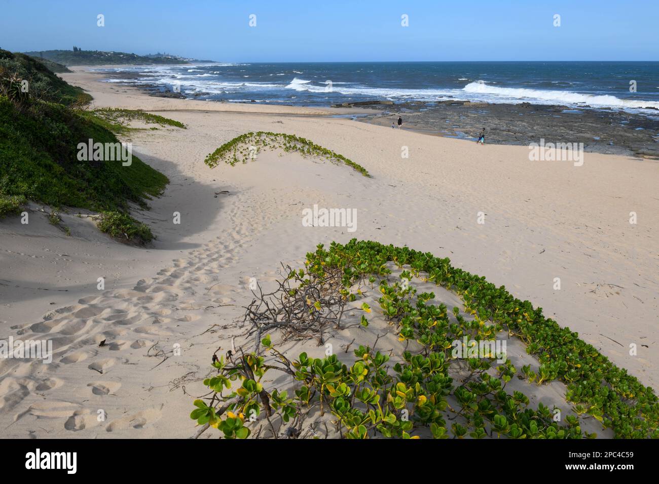 Drone view at Shelly beach on South Africa Stock Photo - Alamy