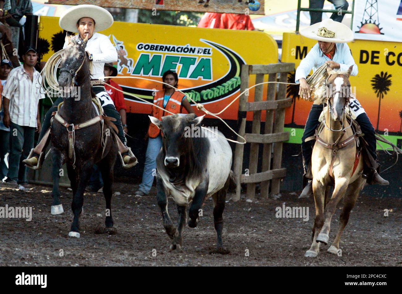 Eleasar Pineda, left, and Ramon Panda, right, Mexican cowboys, try to ...