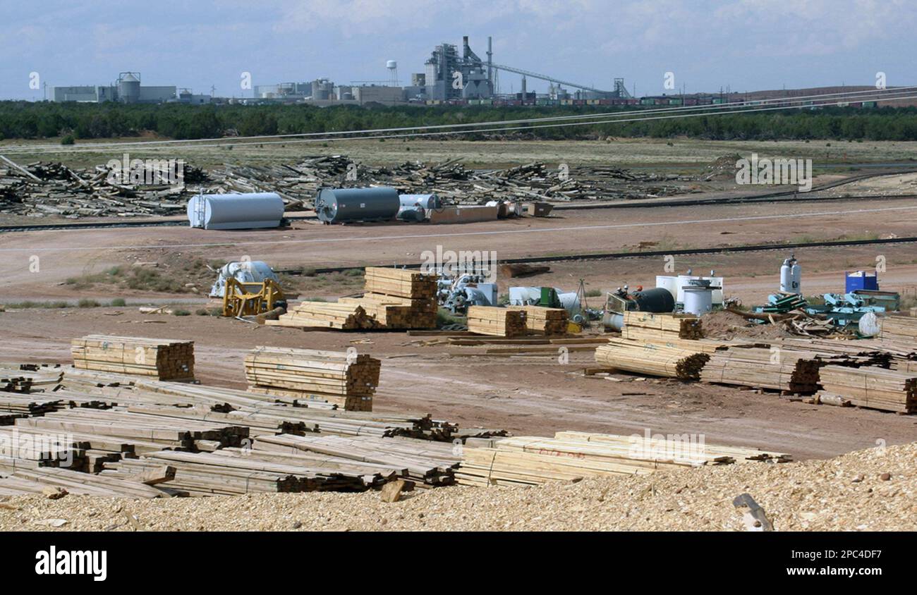 ** ADVANCE WEEKEND JAN. 13-14 ** A view of a paper mill, background ...