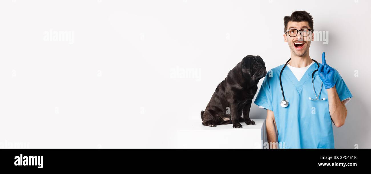 Handsome young doctor at vet clinic pointing finger up and looking ...