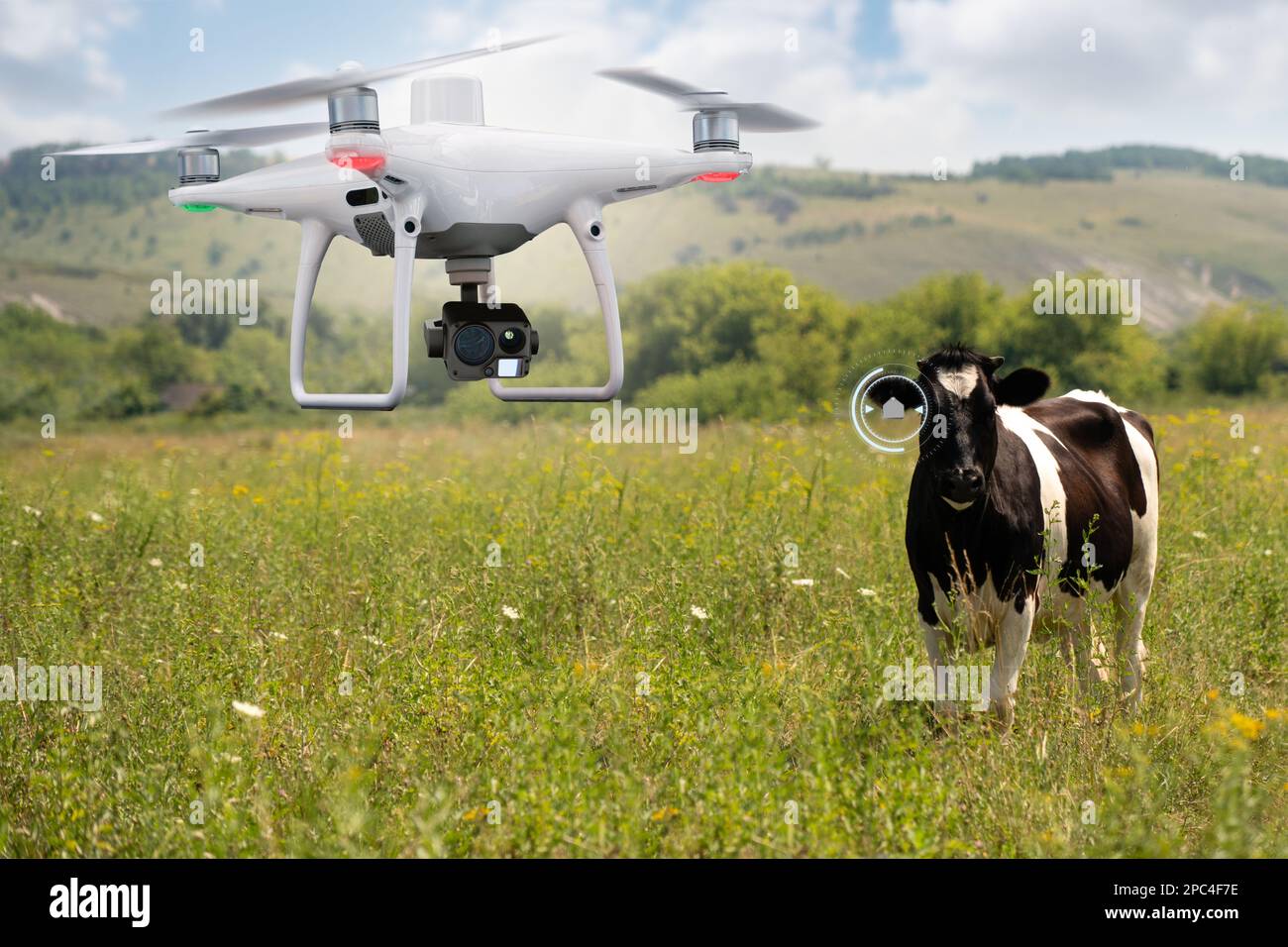 Agricultural drone watching a herd of cows. Smart farming Stock Photo ...