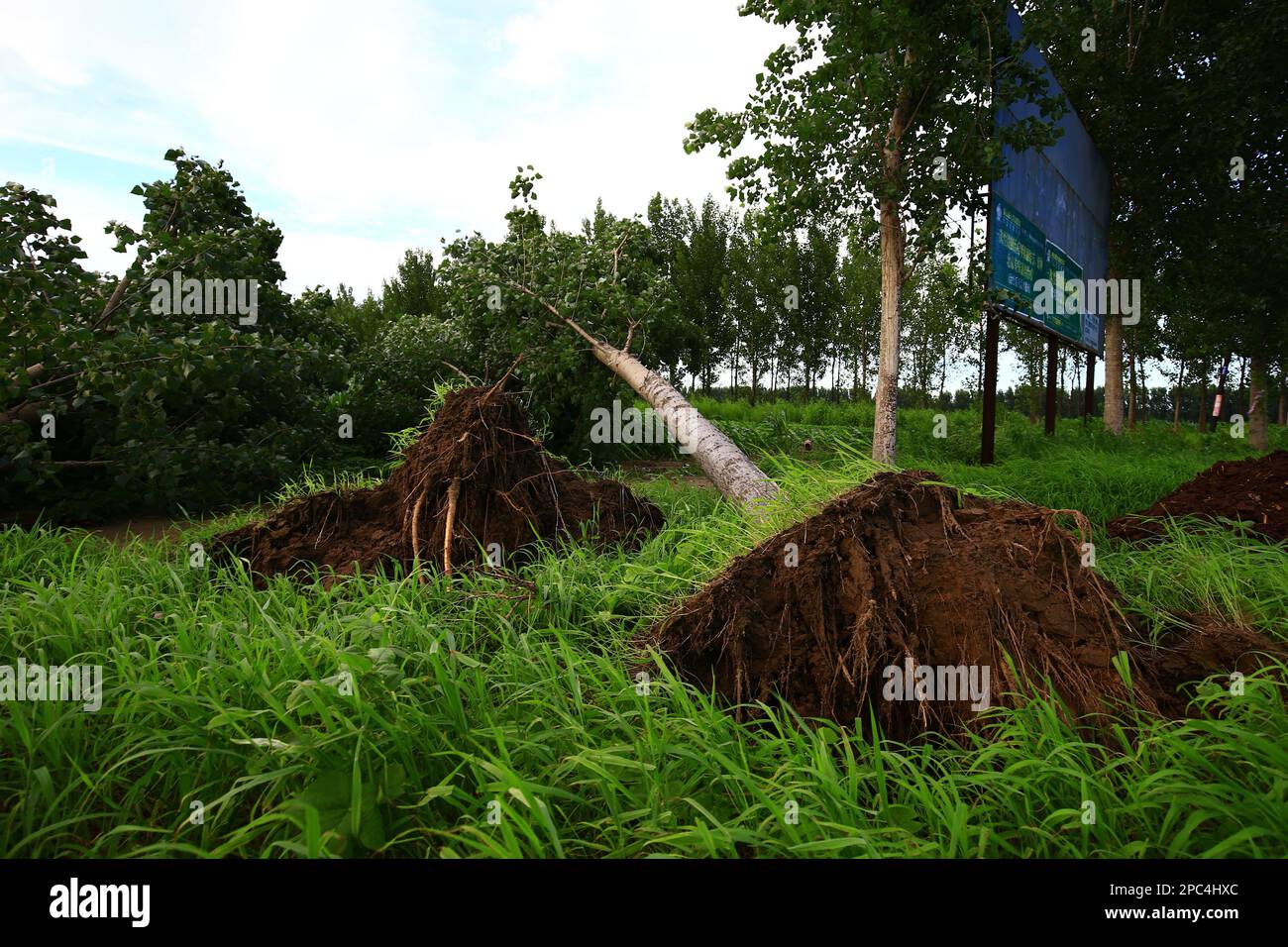 Blow down hi-res stock photography and images - Alamy