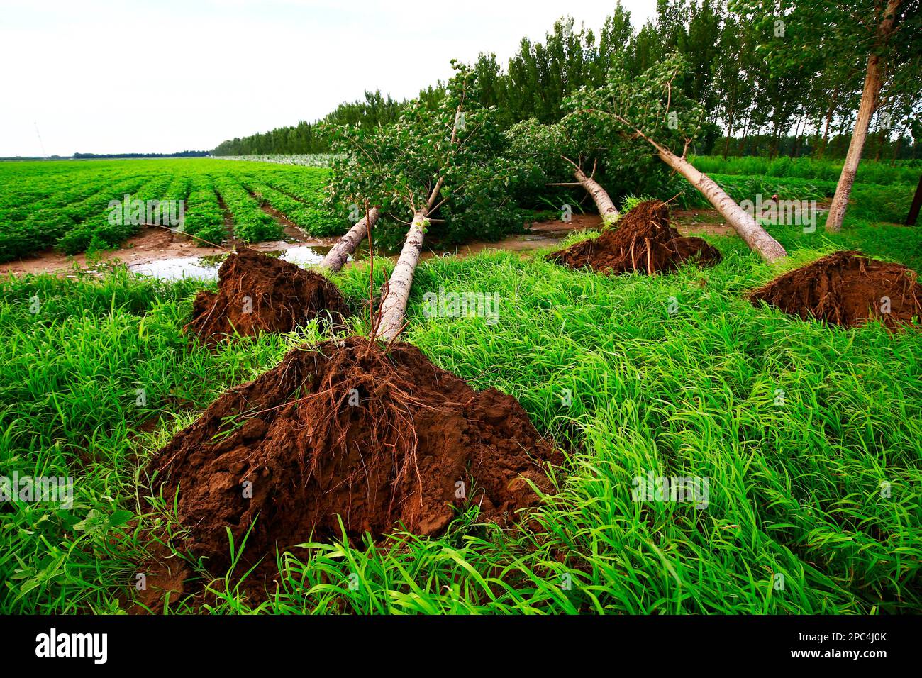 Blow down hi-res stock photography and images - Alamy