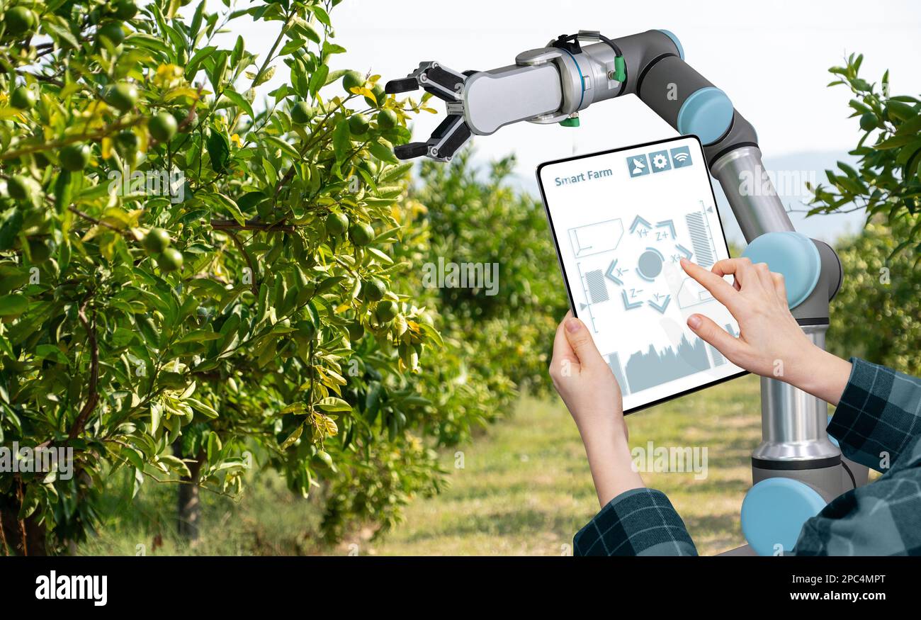 Farmer controls robotic arm with a tablet. Smart farming and digital ...
